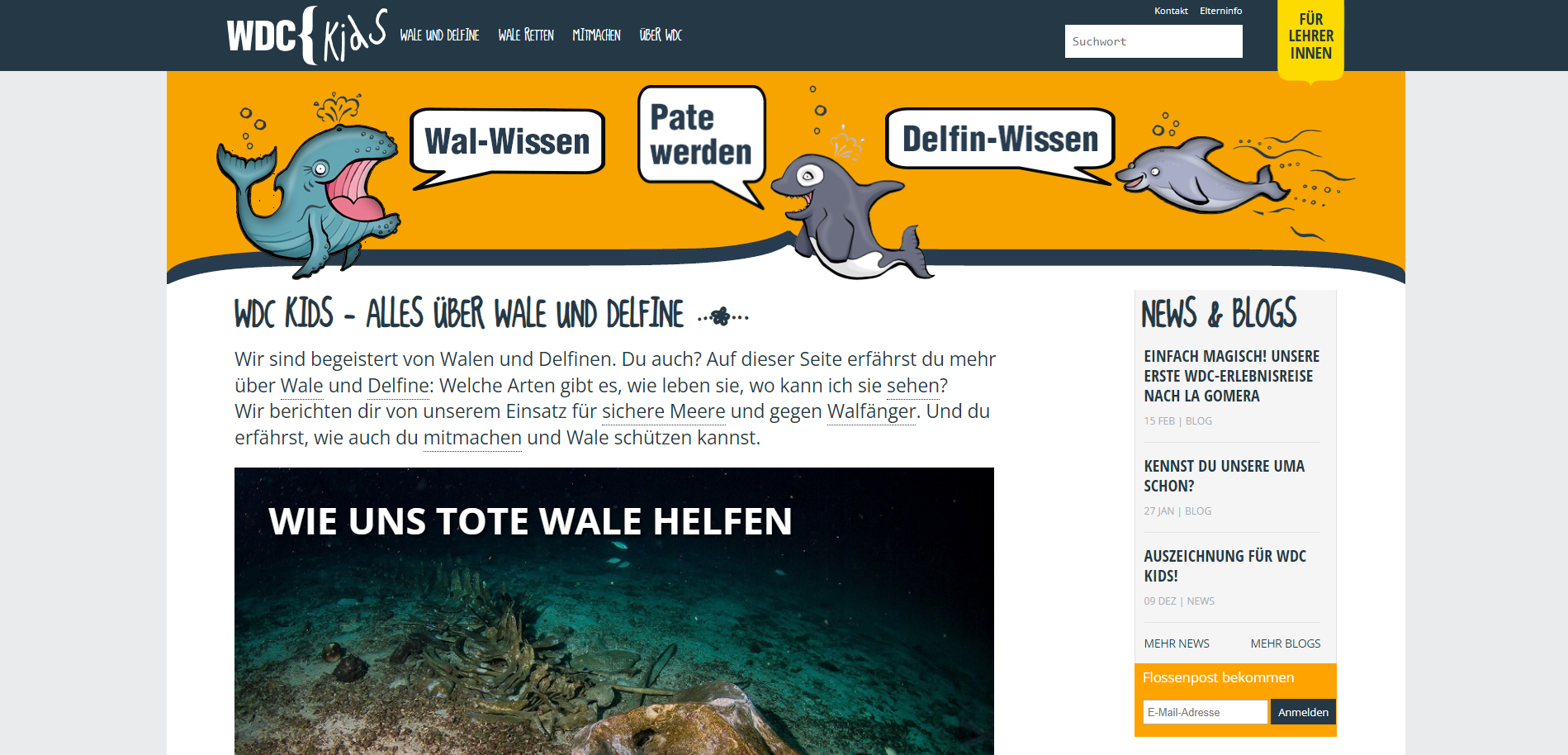 WDC Kids – Schooltools