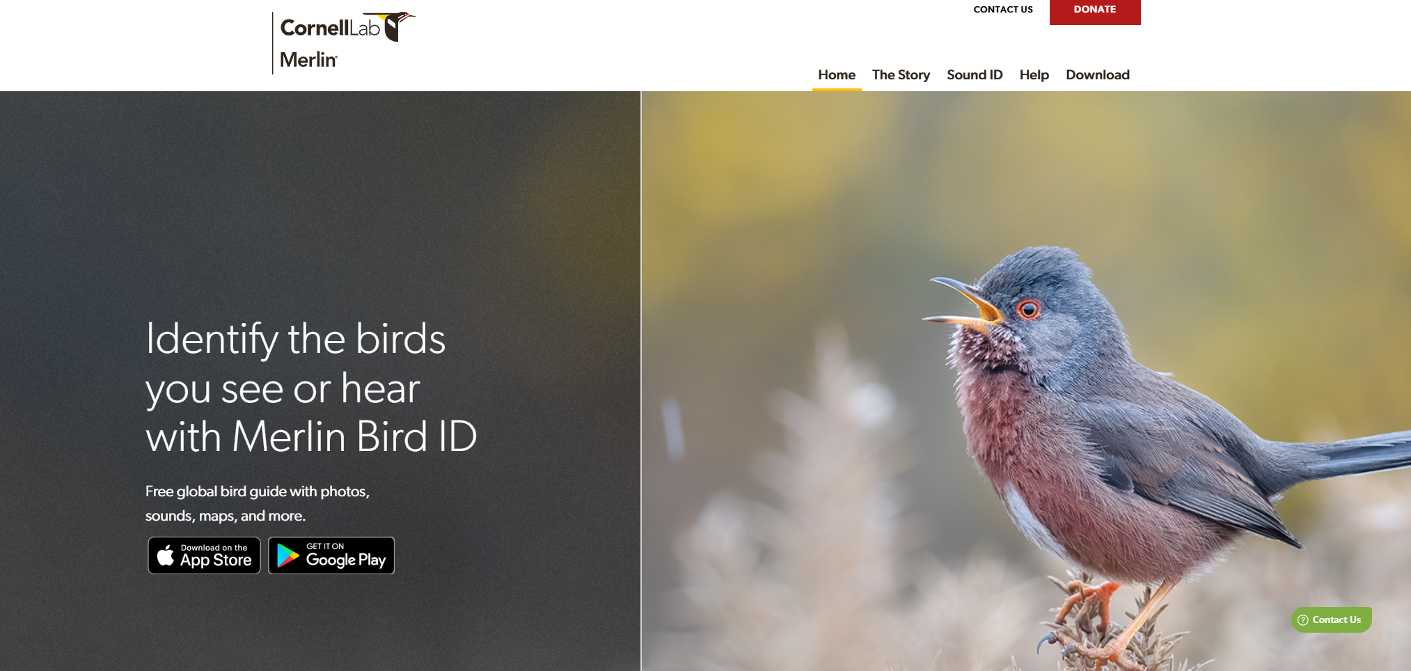 Merlin Bird ID – Schooltools